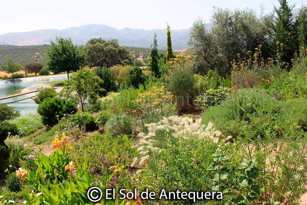 El verde que está por llegar a nuestra ciudad - El Sol de Antequera ...